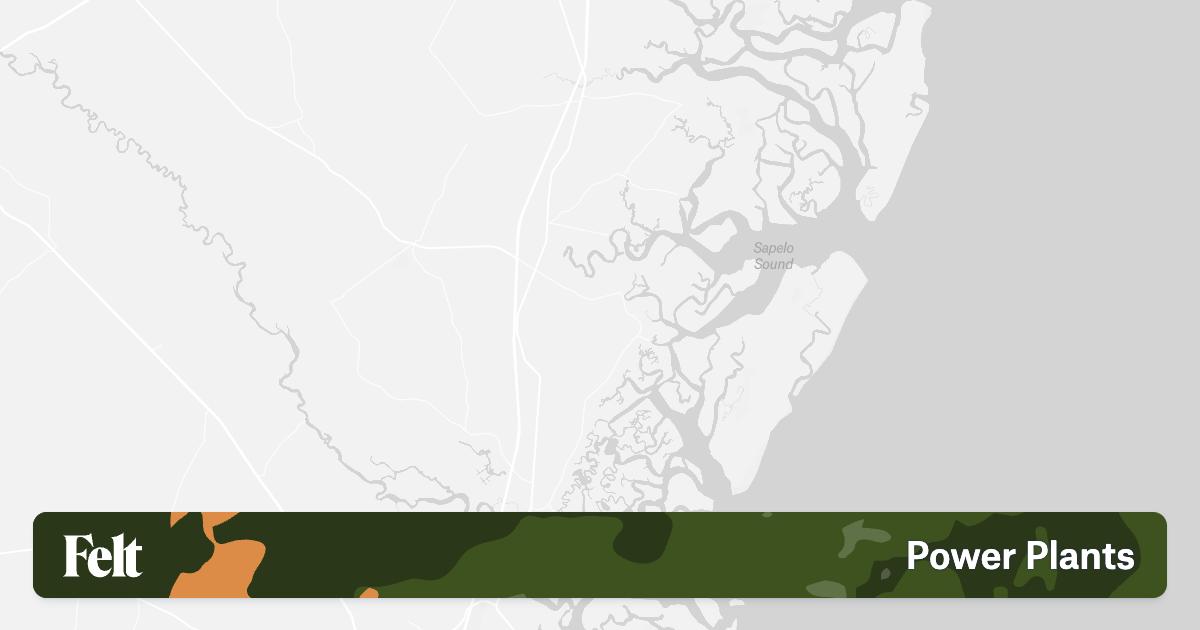 Power plants in McIntosh County, Georgia