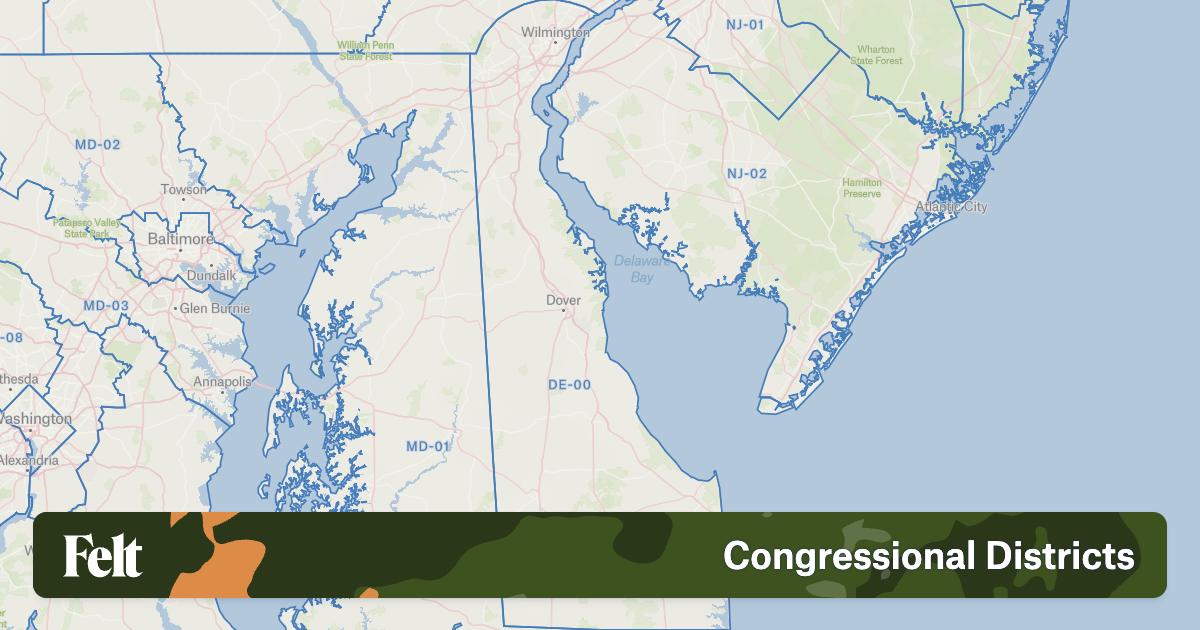 Congressional Districts in Delaware