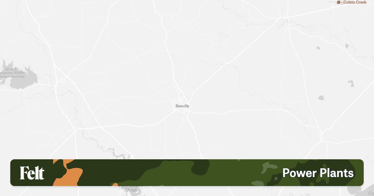 Power plants in Bee County, Texas