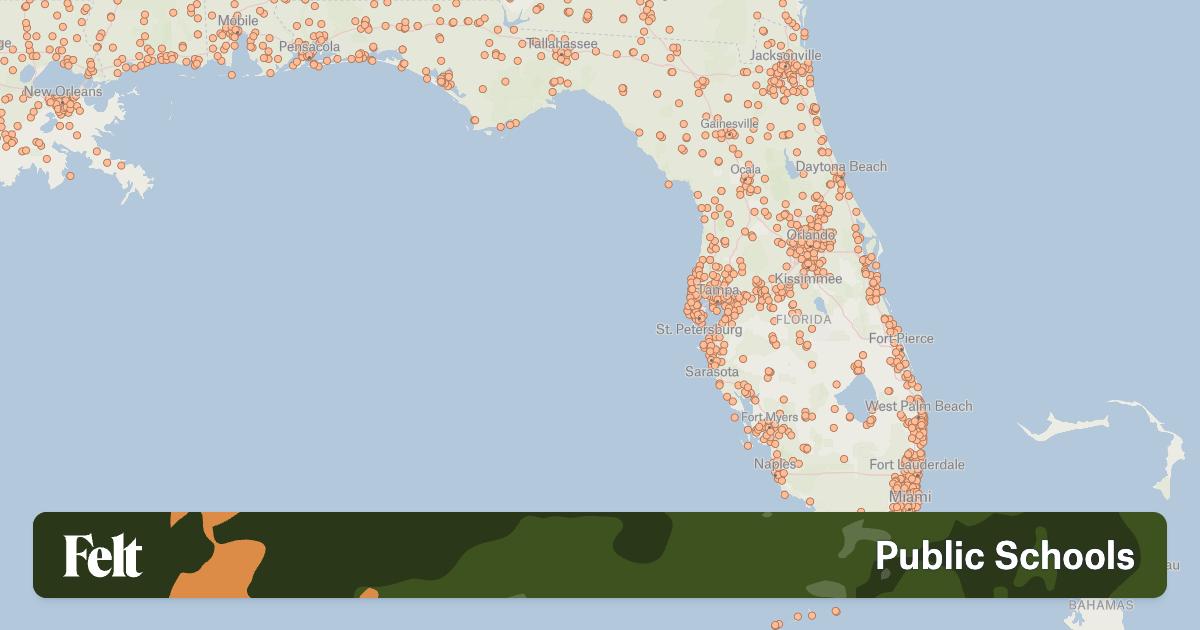 US Public Schools in Florida